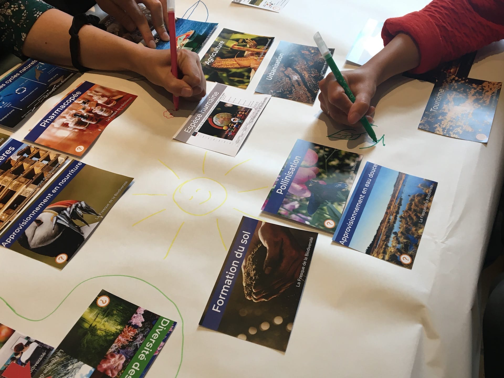 Fresque de la Biodiversité & Sensibilisation écologique - Gaiabati